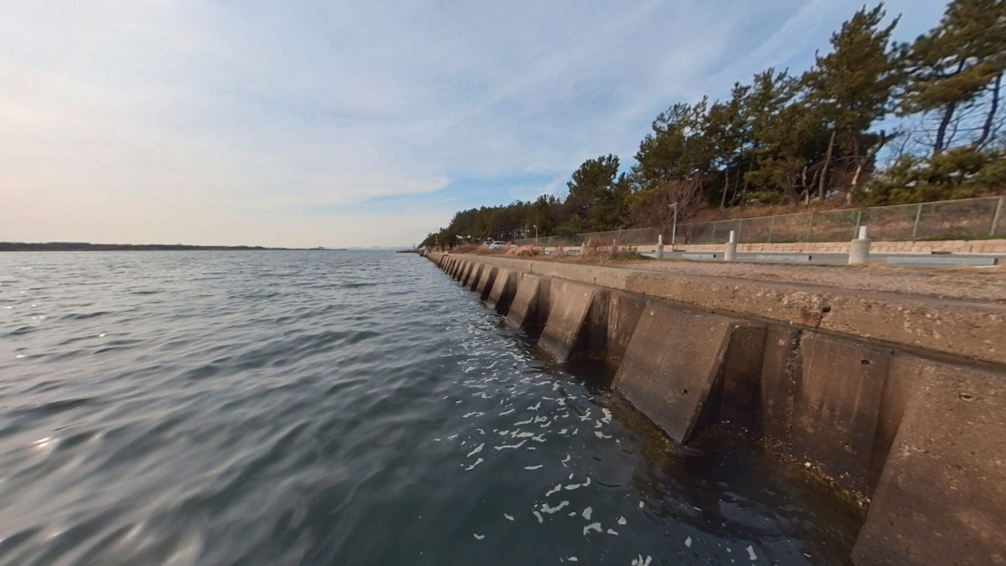 夢舞大橋：車横付け可の大阪市内の釣りスポット【釣り場紹介】 | FISHING POINTER