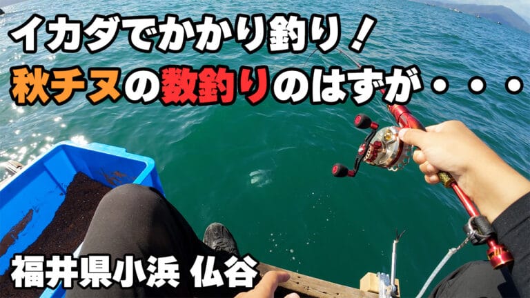 アジのサビキ釣りでおすすめの撒き餌(コマセ)を紹介！ | FISHING POINTER