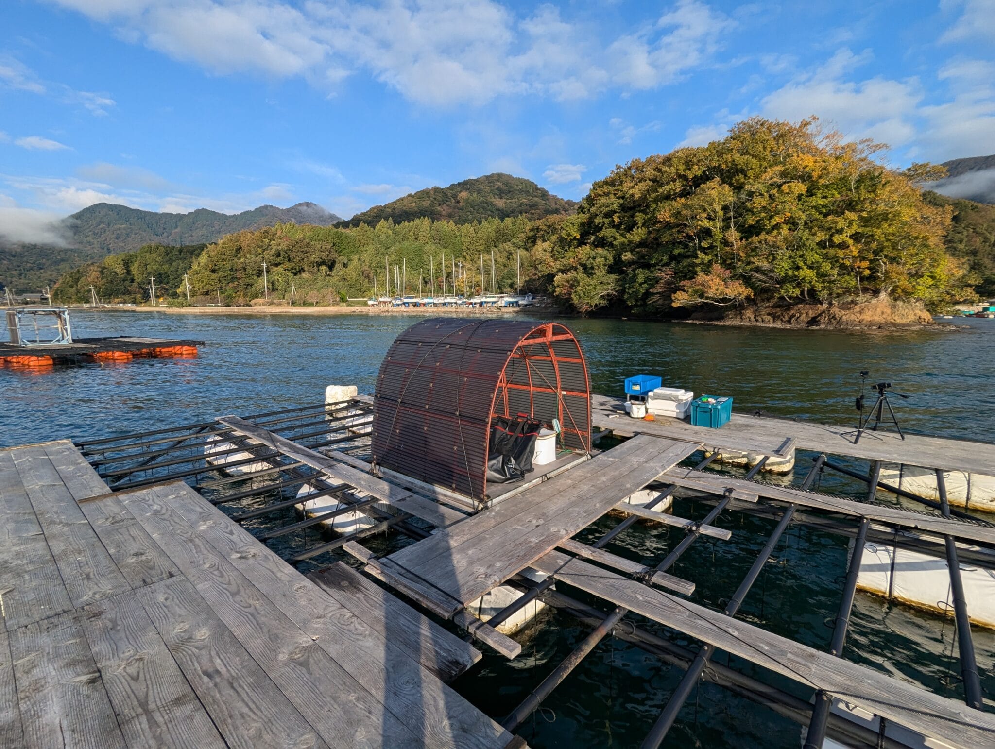舞鶴・吉田の筏でかかり釣り！エサ取りの攻略が鍵か【渡船・たかし丸】 | FISHING POINTER